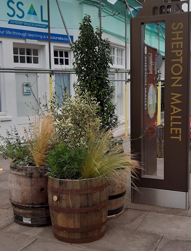 Perennials for Shepton Mallet - Angela Morley Garden Design